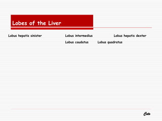 Week 13 - Digestive System (Digestive Glands).ppt