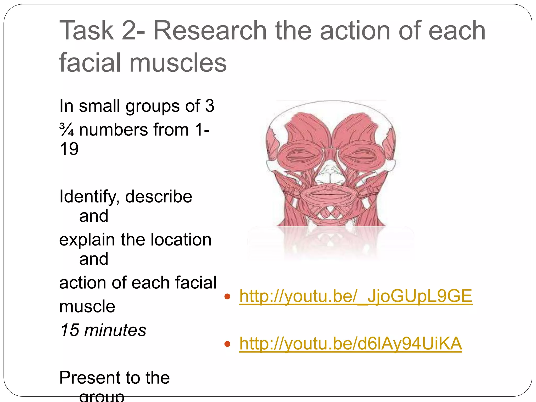 Week 13 muscular system week 1 btec | PPTX