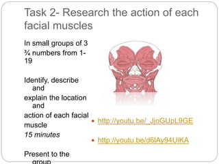 Week 13 muscular system week 1 btec | PPTX