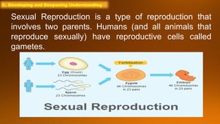 Week 14- Day 1-2 Sexual Reproduction.pptx