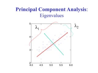 Statistical analysis information about PCA or principles component ...