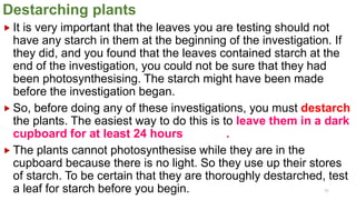 WEEK_16_CHAPTER_6_PLANT_NUTRITION.pdf.pdf