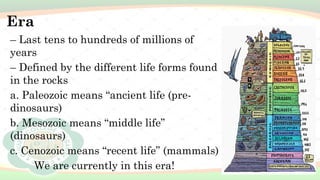EVIDENCE OF EVOLUTION, ORIGIN OF LIFE, ORIGIN OF HUMAN_ELS.pptx