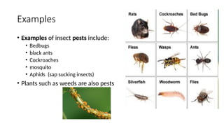 week 16Pests and Pesticides names and uses.pptx