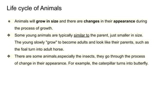 Science Animals_Life Cycle of Animals.pdf