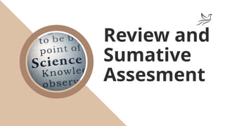 Week 16 Summative Assessment Grade 1 Practice | PPTX