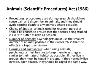 AS Week 17 Animal Studies and Brain Scans | PPTX