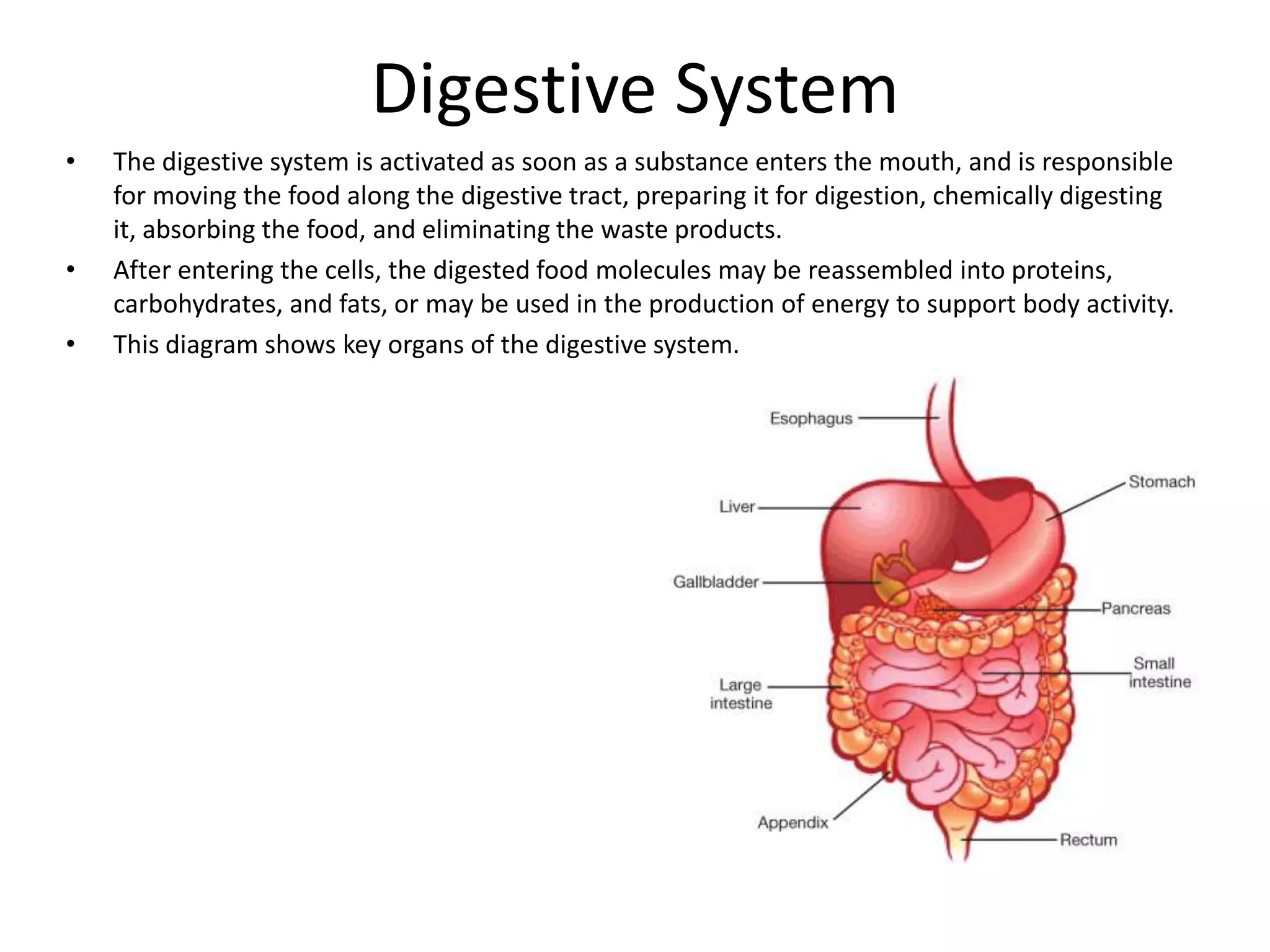 Week 1 antomy | PPTX
