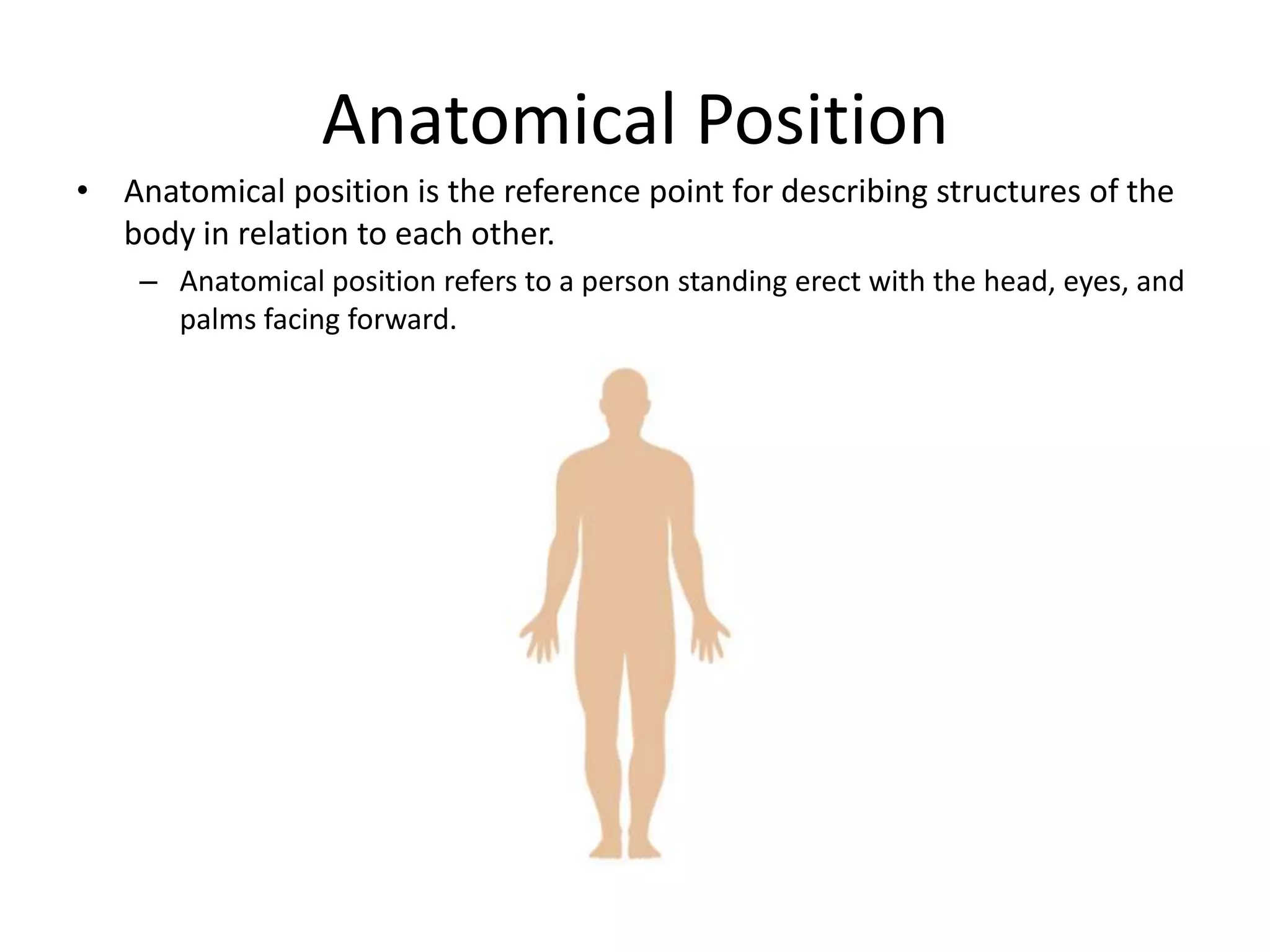 Week 1 antomy | PPTX