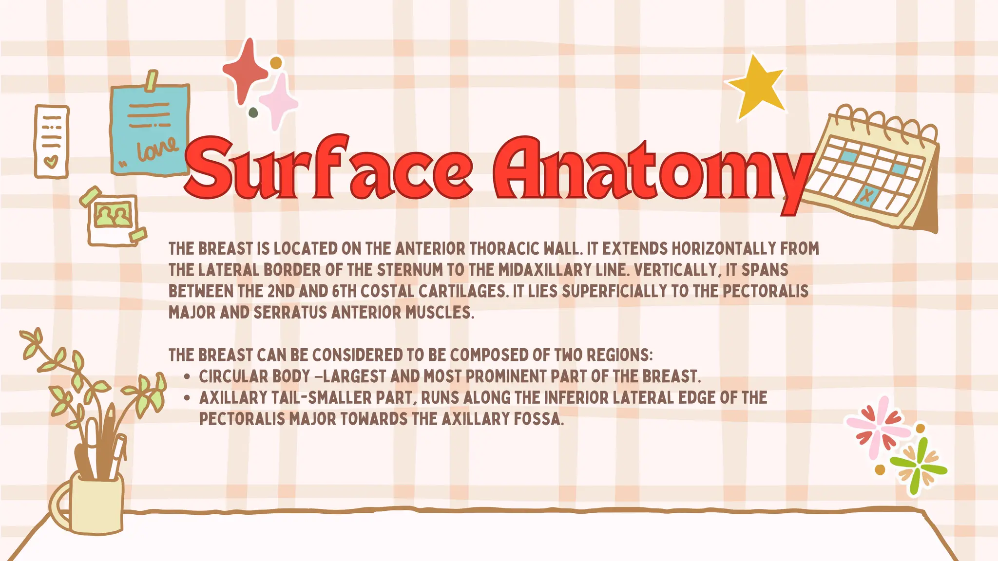 Mammography: Breast Anatomy & Imaging Techniques.pdf