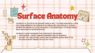 Mammography: Breast Anatomy & Imaging Techniques.pdf