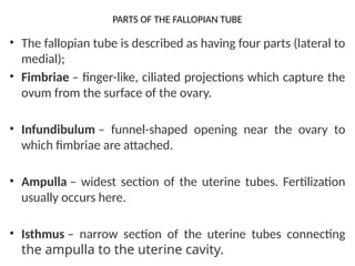 WEEK 1 EMBRYOLOGY FERTILIZATION CHRISTINE NGUGI.pptx