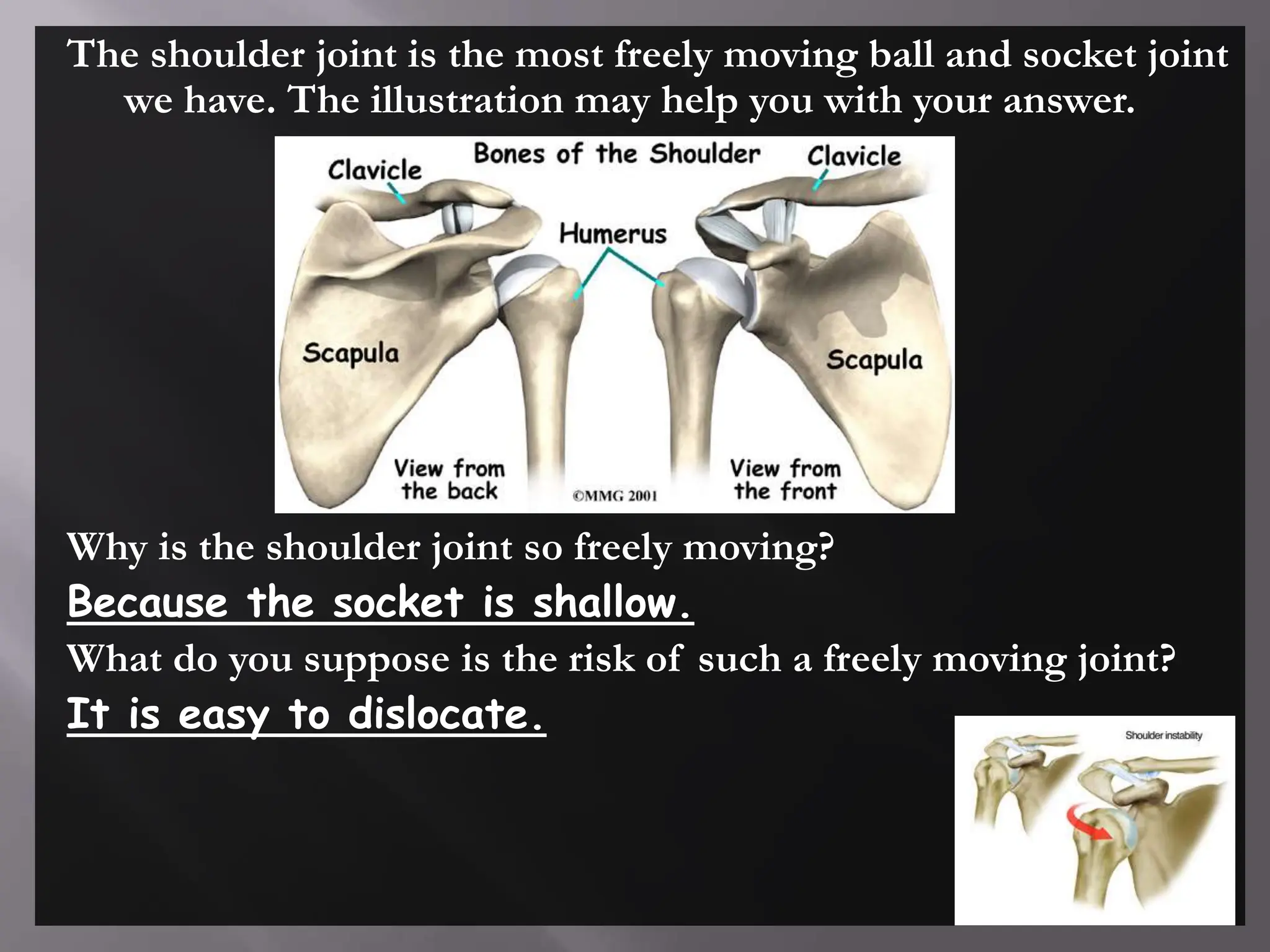 Week 1 Basic Functional Anatomy for elective strength and conditioning.ppt