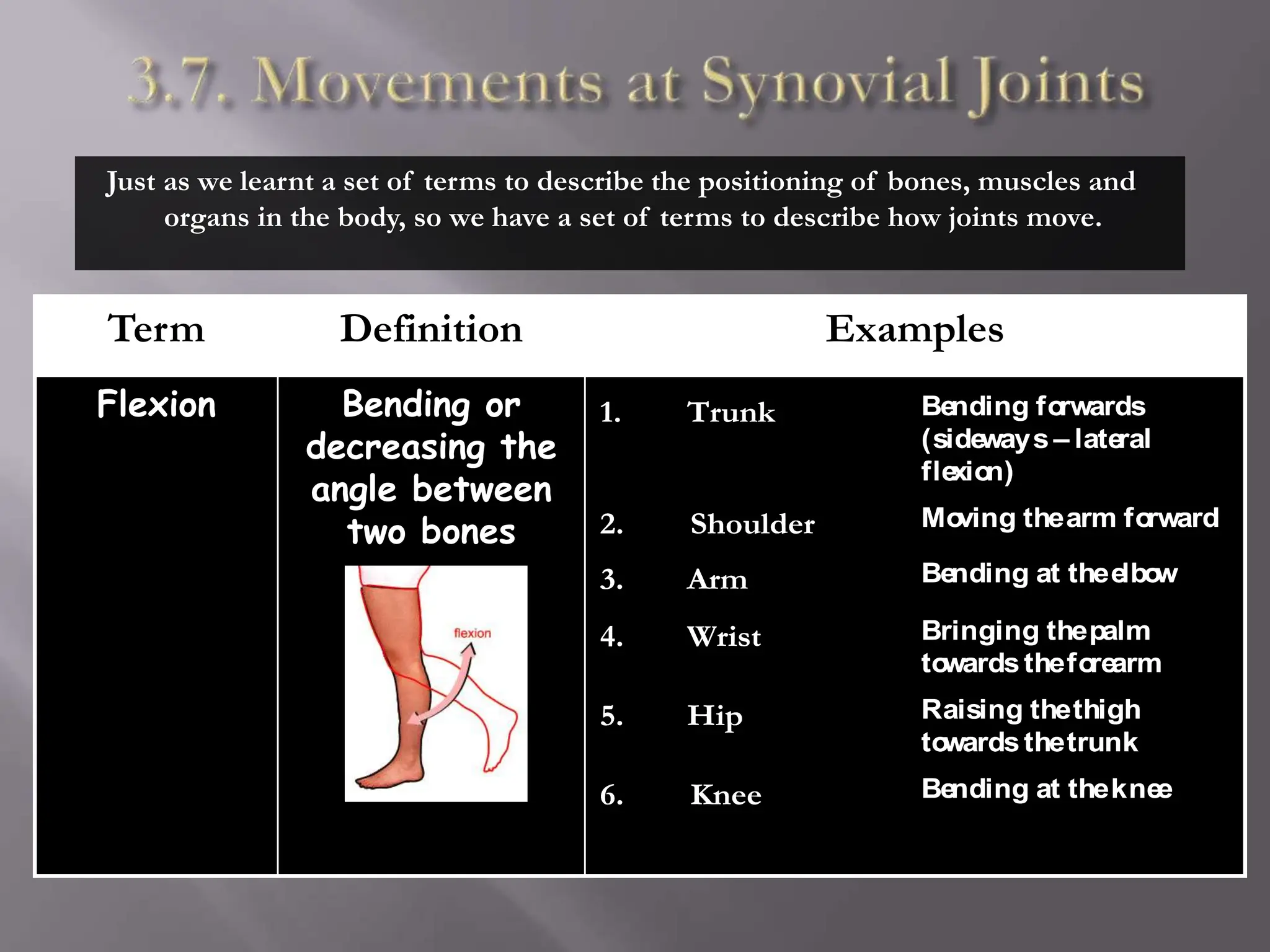 Week 1 Basic Functional Anatomy for elective strength and conditioning.ppt