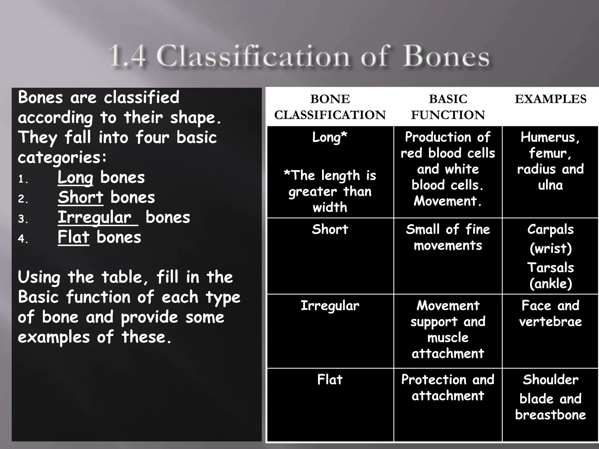 Week 1 Basic Functional Anatomy for elective strength and conditioning.ppt