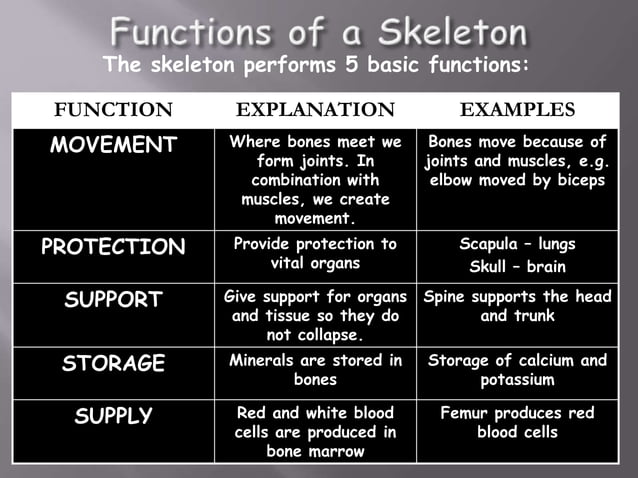 Week 1 Basic Functional Anatomy for elective strength and conditioning.ppt