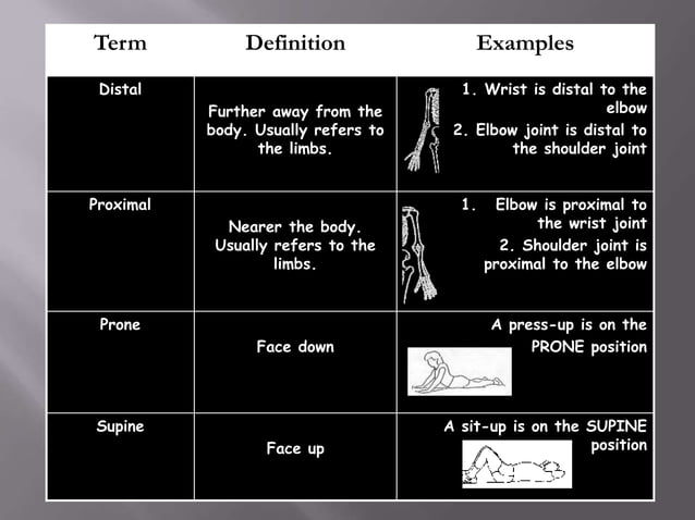 Week 1 Basic Functional Anatomy for elective strength and conditioning.ppt