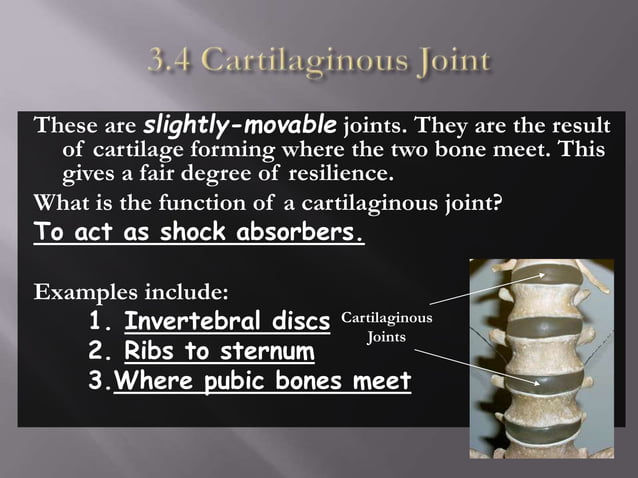 Week 1 Basic Functional Anatomy for elective strength and conditioning.ppt