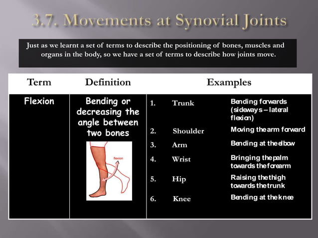 Week 1 Basic Functional Anatomy for elective strength and conditioning.ppt