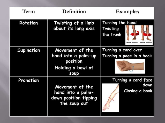 Week 1 Basic Functional Anatomy for elective strength and conditioning.ppt
