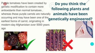 GENETIC ENGINEERING for high school.pptx.pptx