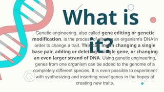 GENETIC ENGINEERING for high school.pptx.pptx