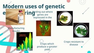 GENETIC ENGINEERING for high school.pptx.pptx