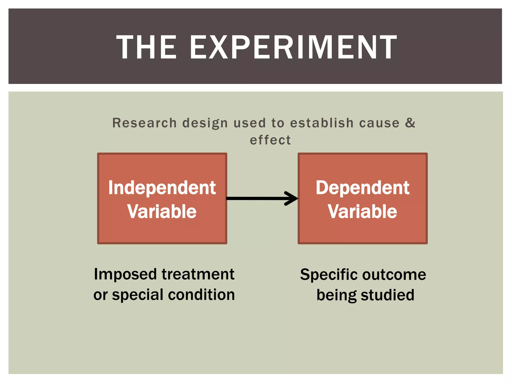 Week 1 Introduction to Lifespan Development | PPT