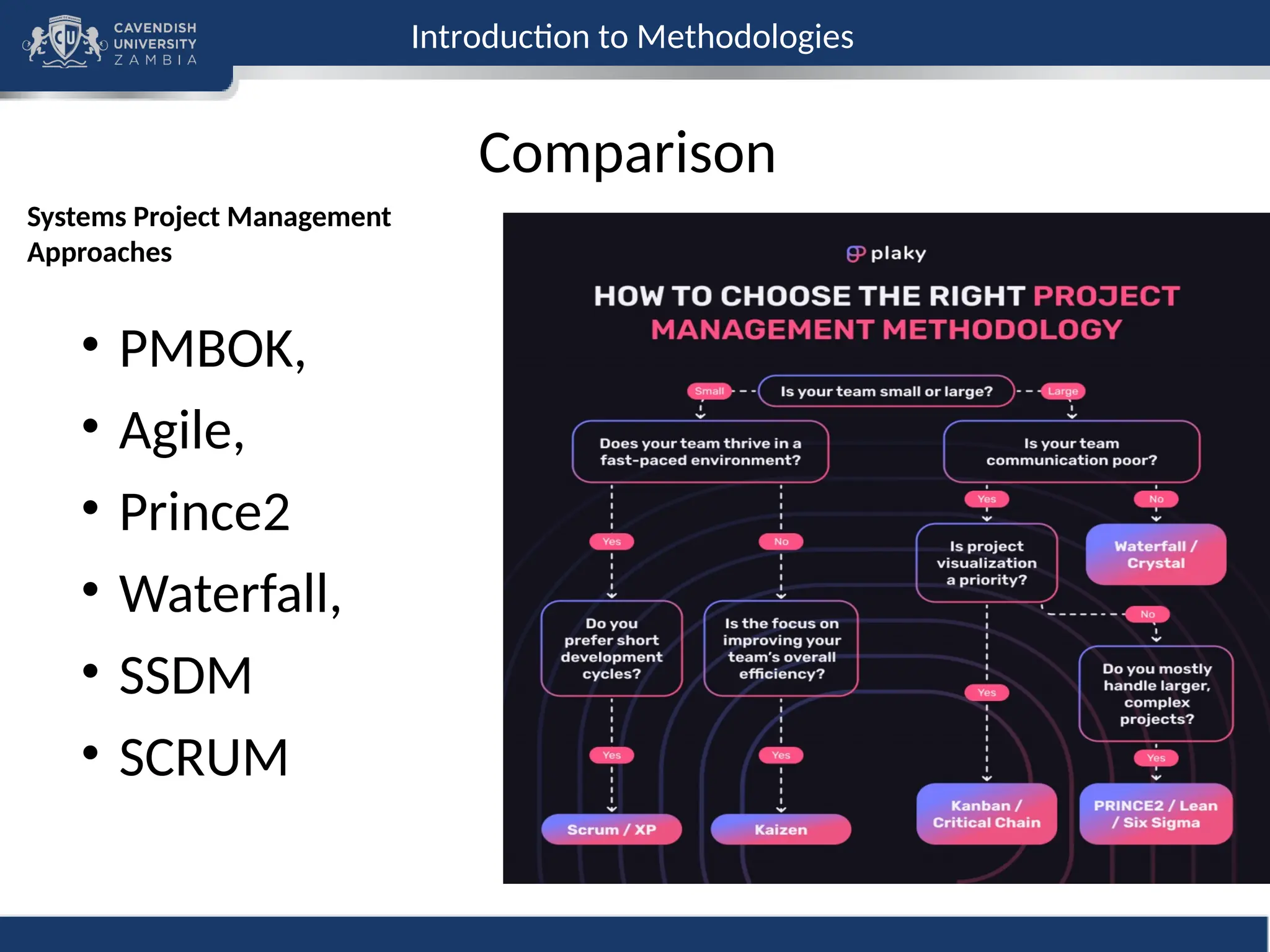 Week1IntroductiontoSystemProjectManagementPrinciples.ppt