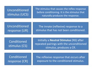 Week1 Learning Approach and Classical Conditioning | PPT
