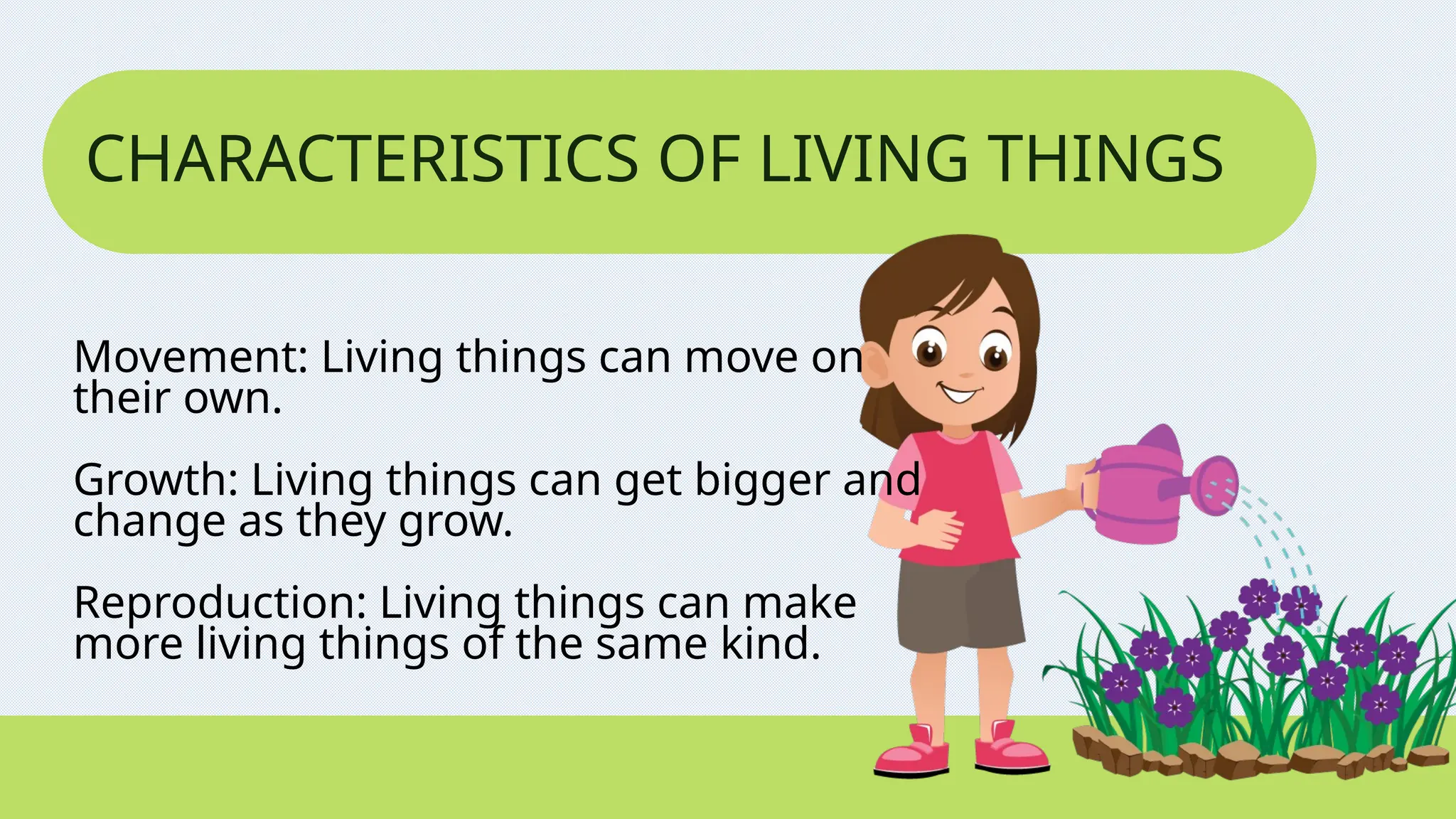 The Difference Living Things Presentation.pptx