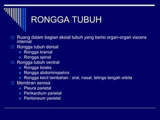 (Week 1) PENGANTAR ANATOMI FISIOLOGI .pdf