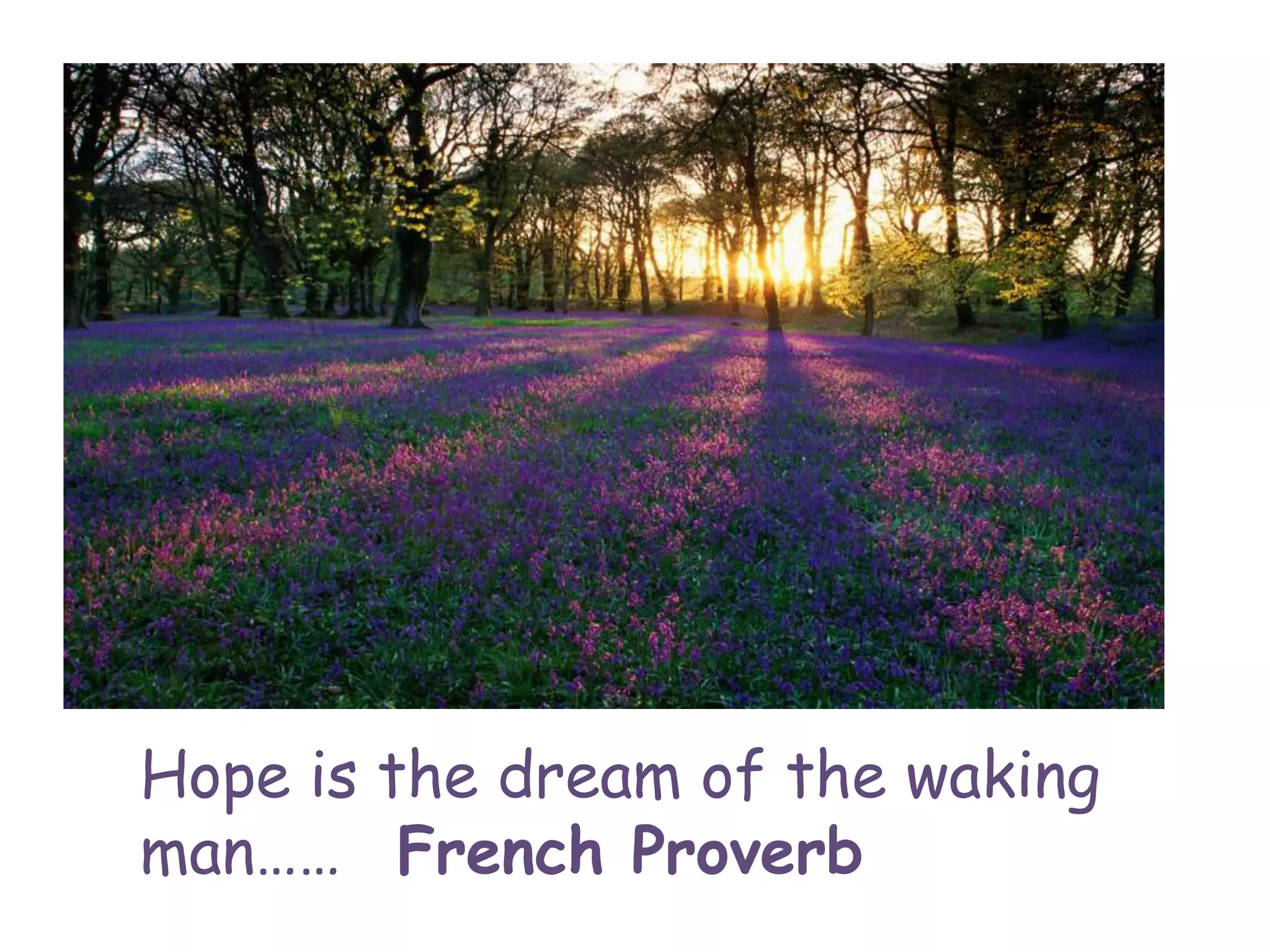 Week 1 power point presentation | PPT