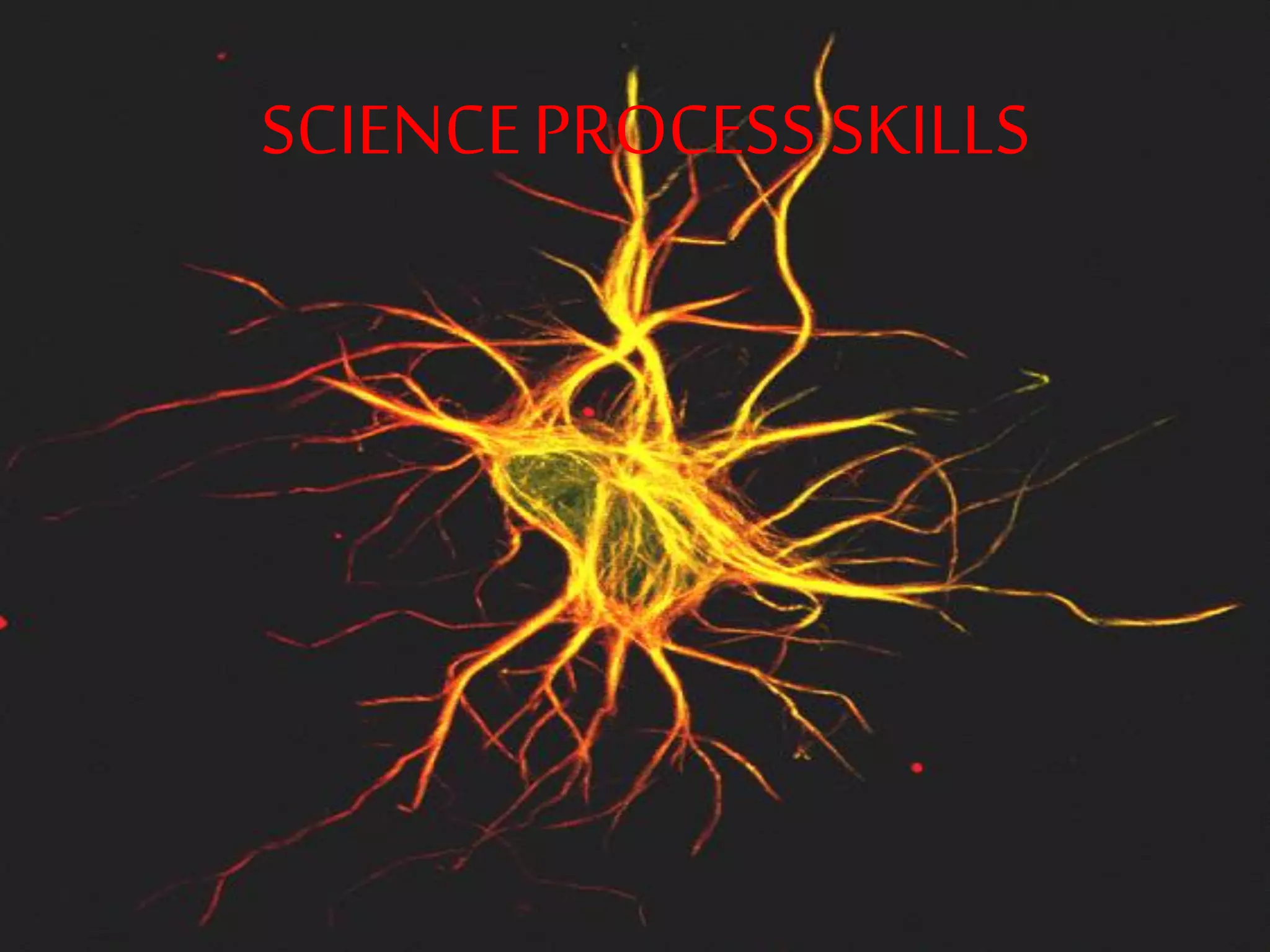 week 1 process skills new ppt.pdf | Science