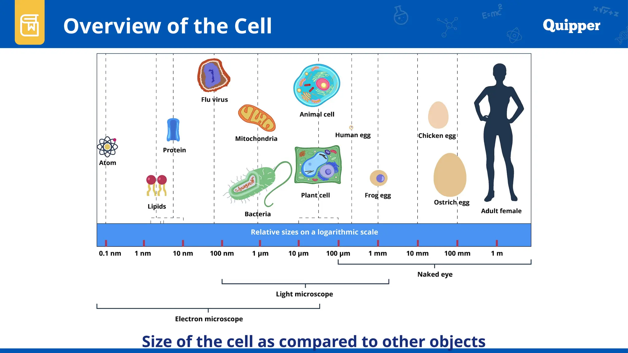 GEN. BIOLOGY: THE CELL AND THE CELL THEORIES | PPT