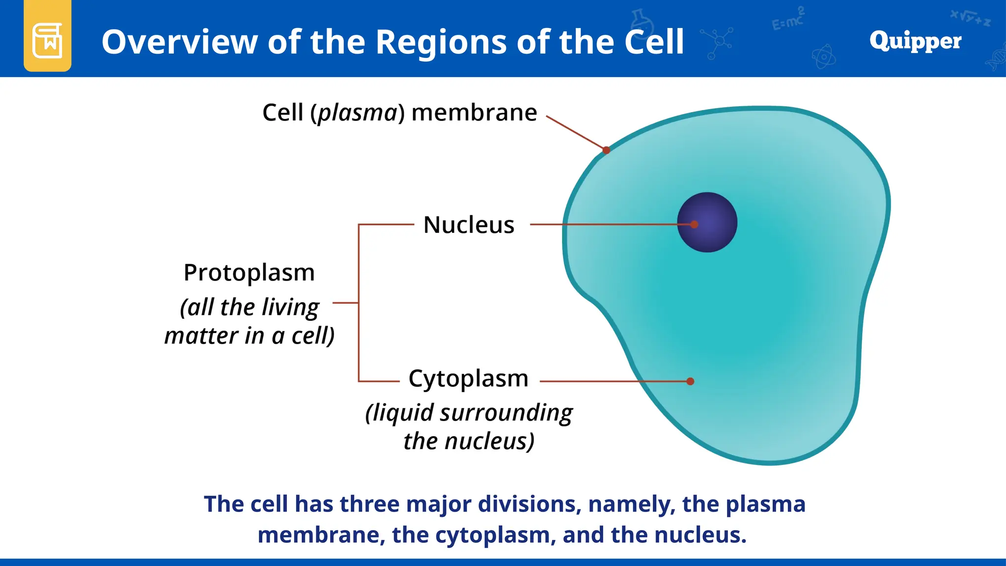 GEN. BIOLOGY: THE CELL AND THE CELL THEORIES | PPT