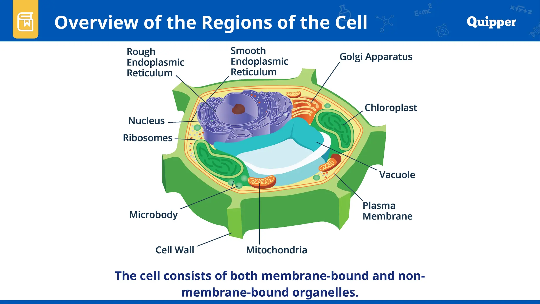 GEN. BIOLOGY: THE CELL AND THE CELL THEORIES | PPT