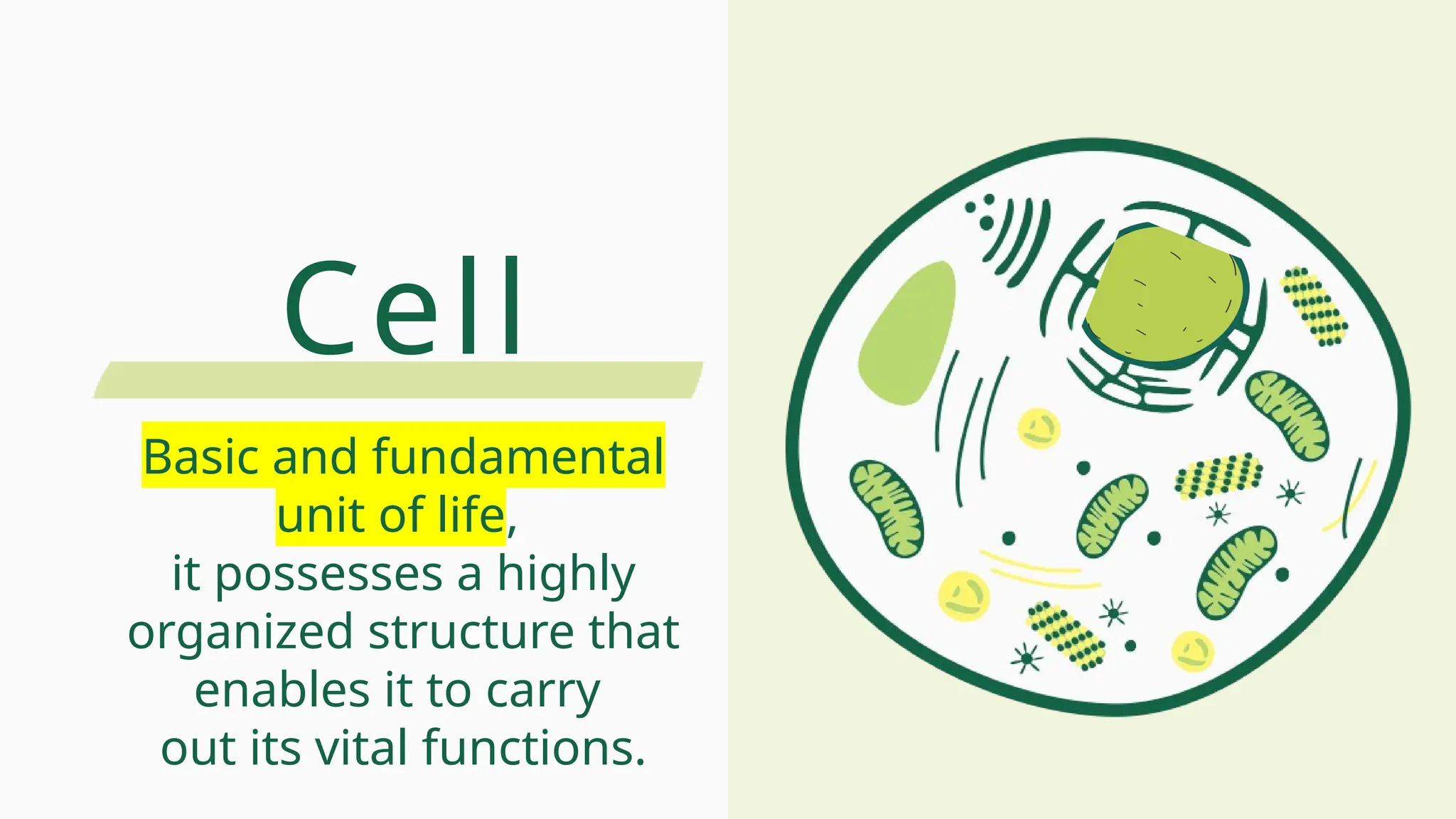 GEN. BIOLOGY: THE CELL AND THE CELL THEORIES | PPTX