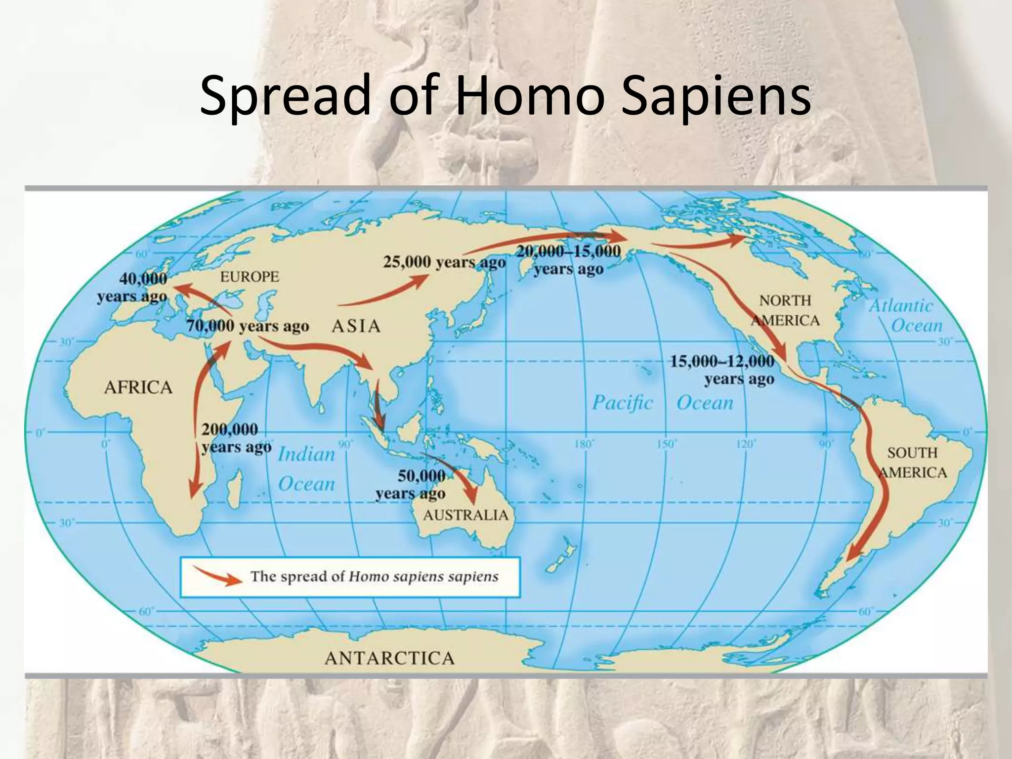 Week 1 (The Stone Age and Early Civilization) | PPT