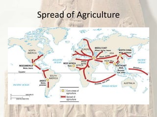 Week 1 (The Stone Age and Early Civilization) | PPT