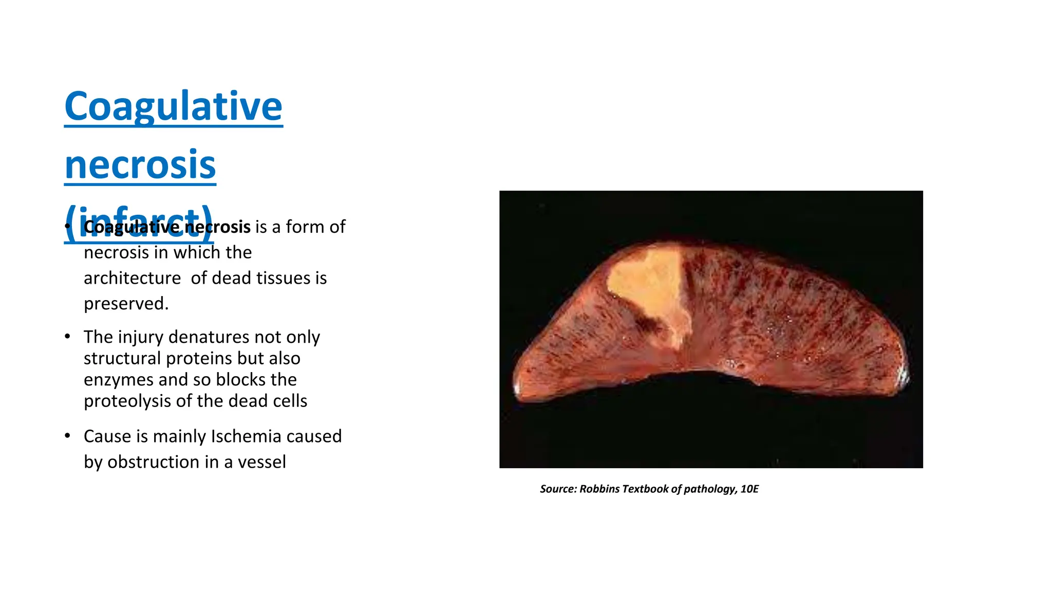 Week 1 Theme Cell Injury Cell Death and Adaptations.pptx
