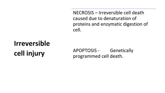 Week 1 Theme Cell Injury Cell Death and Adaptations.pptx