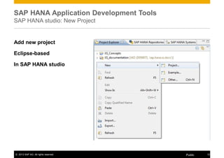 Week 1 unit 1to5 sap hana native application basics | PDF