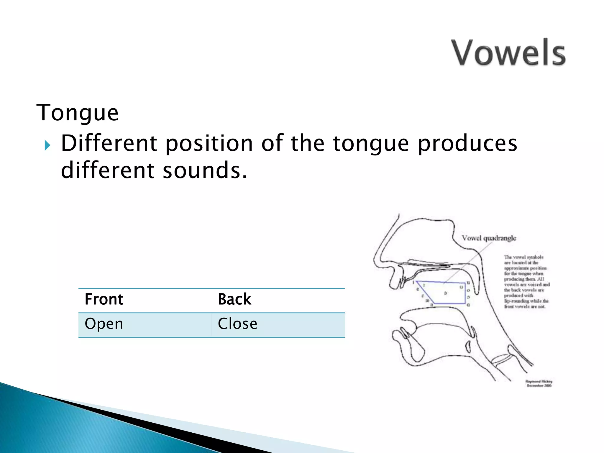 Production of Speech Sound: Vowels | PPTX