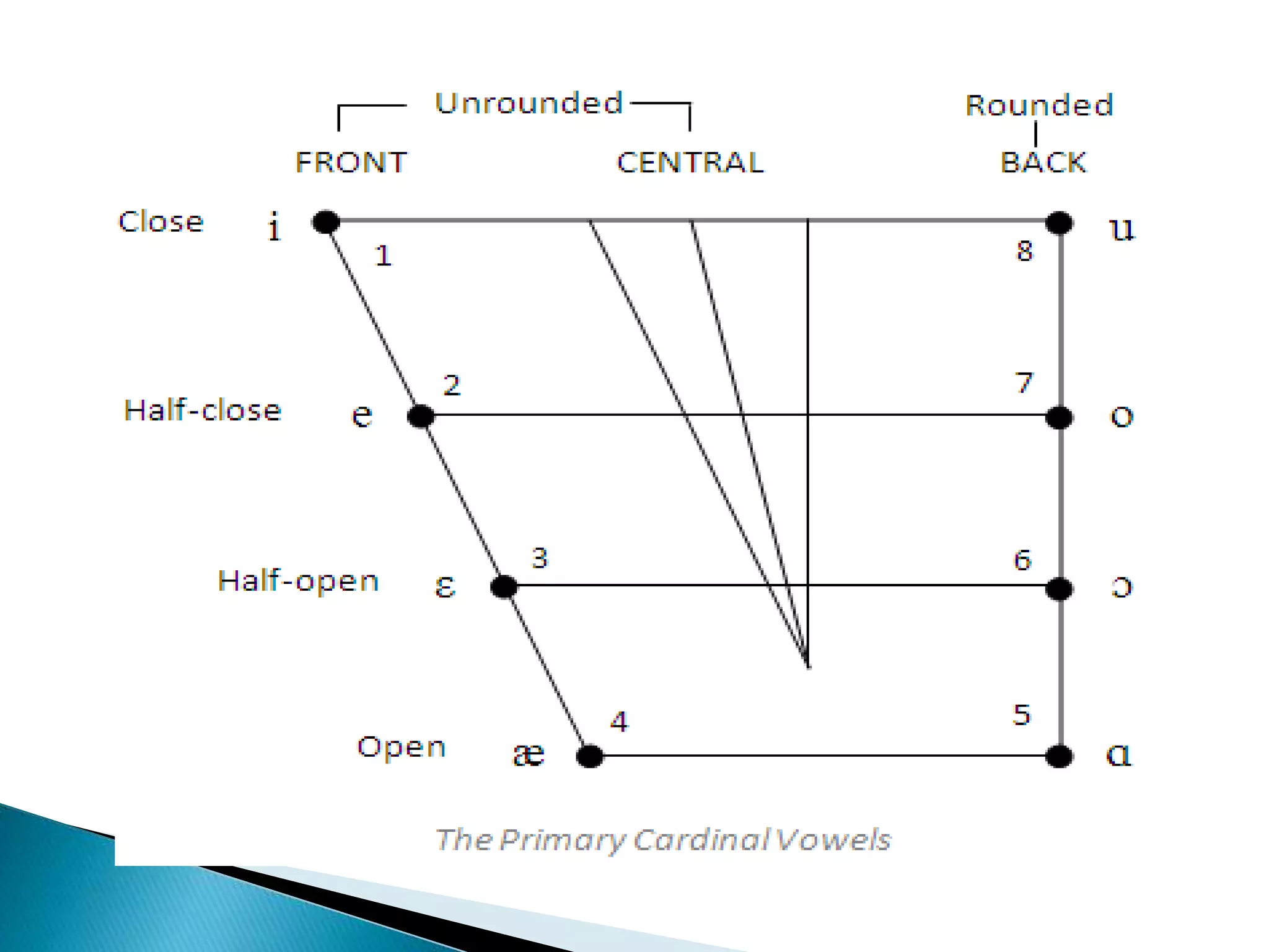 Production of Speech Sound: Vowels | PPTX