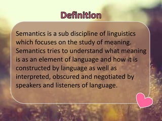 Semantics Definition