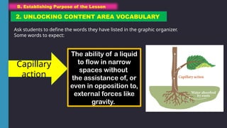 grade 8 week 2 matatag curriculum plants parts | PPTX