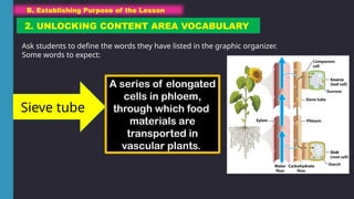 grade 8 week 2 matatag curriculum plants parts | PPTX