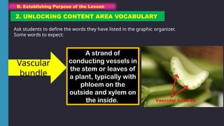 grade 8 week 2 matatag curriculum plants parts | PPTX