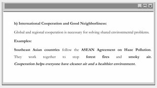 Sources and Principles of International Environmental Policy | PPTX